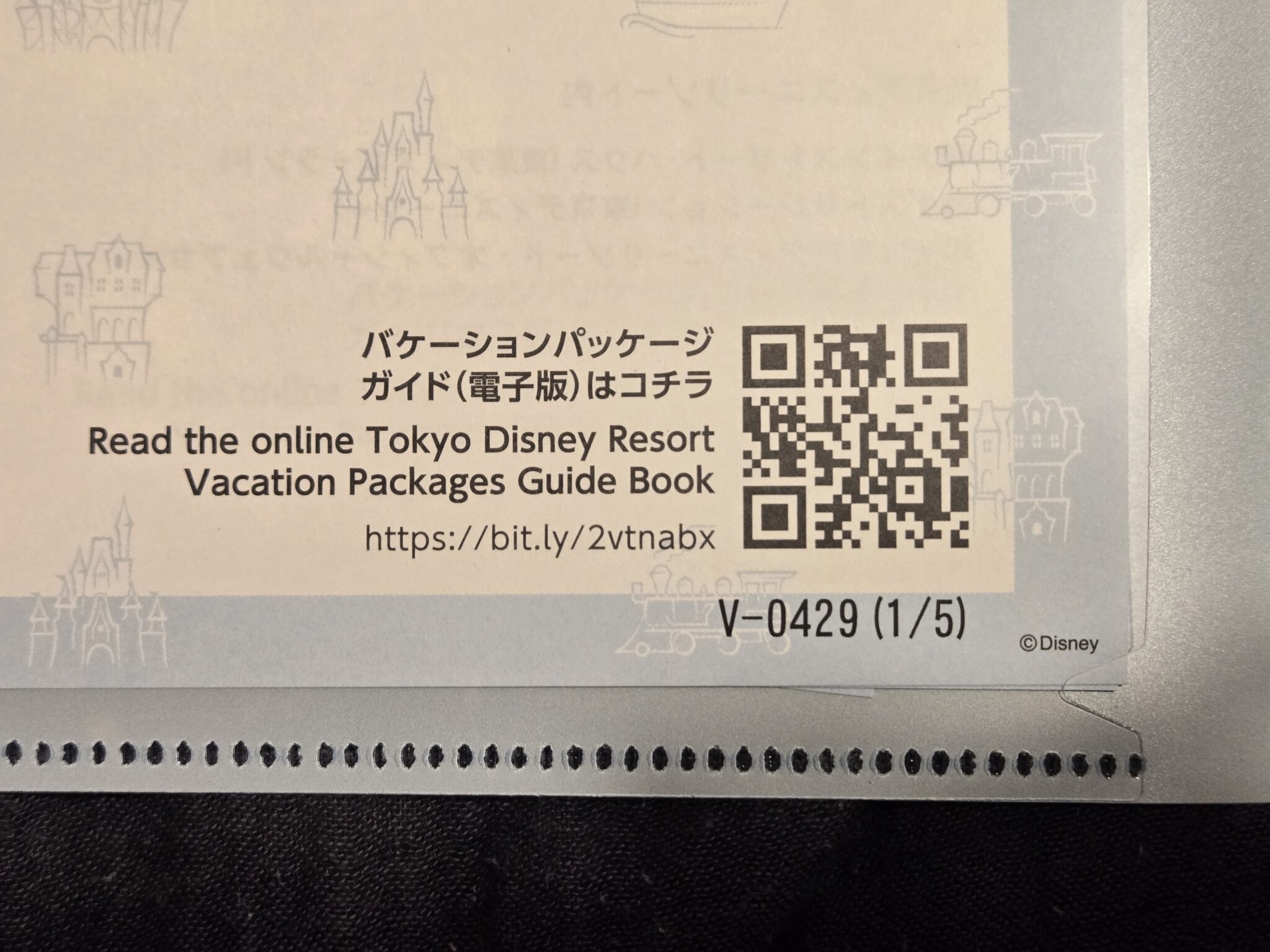 バケパチケットの大きさ は クレカサイズ 縦5.4cm 横8.5cm – sketch99